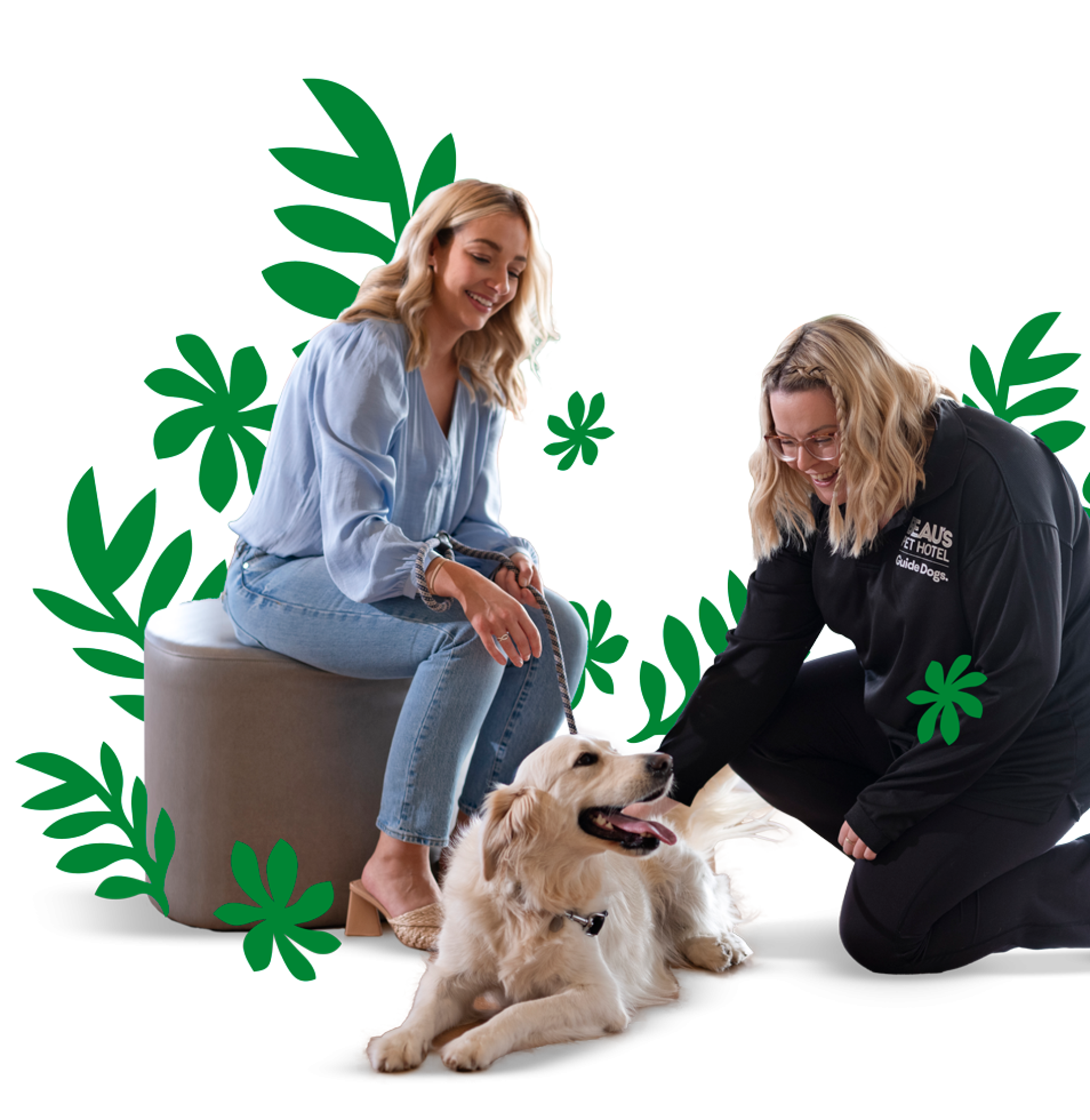 Careers Beau s Pet Hotel Careers Beau s Pet Hotel